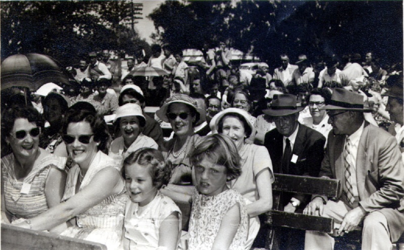 Back-to-Violet Town | Violet Town Photograph Gallery